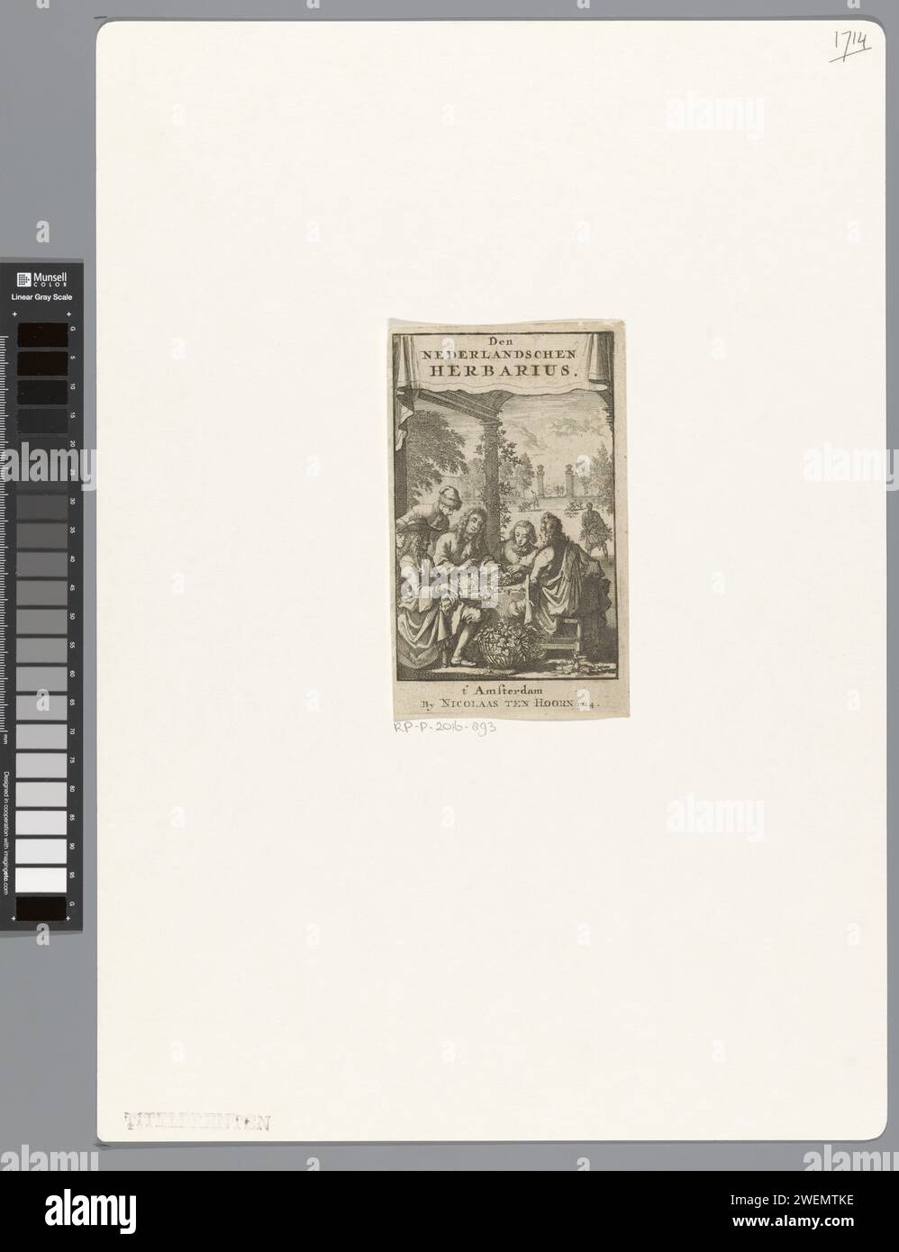Men Study Flowers and Plants, Caspar Luyken, 1714 print In an open ...