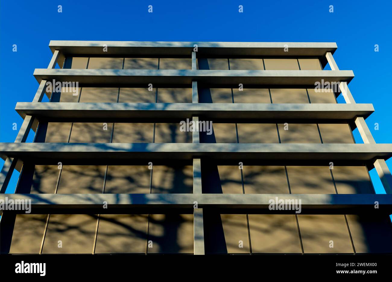 Modern Design of a Building with Tree Shadow and Blue Clear Sky in a ...