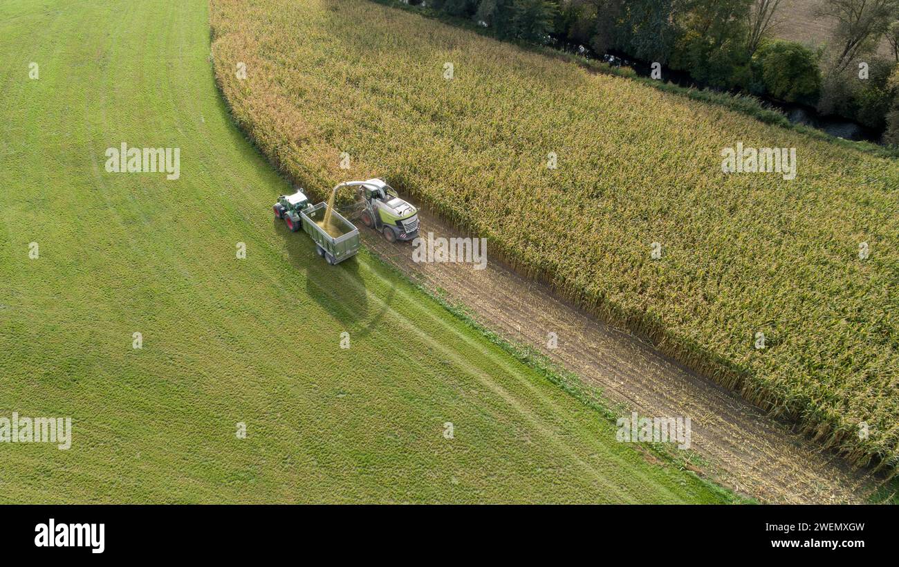 Tractor and maize chopper harvesting maize in Bavaria, Germany Stock ...