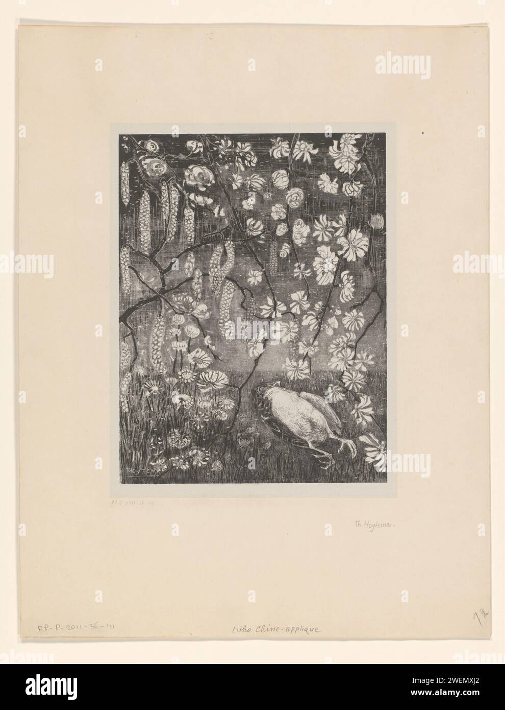 Dode Vogel, Theo Van Hoytema, 1904 print Dead bird lying in the grass ...