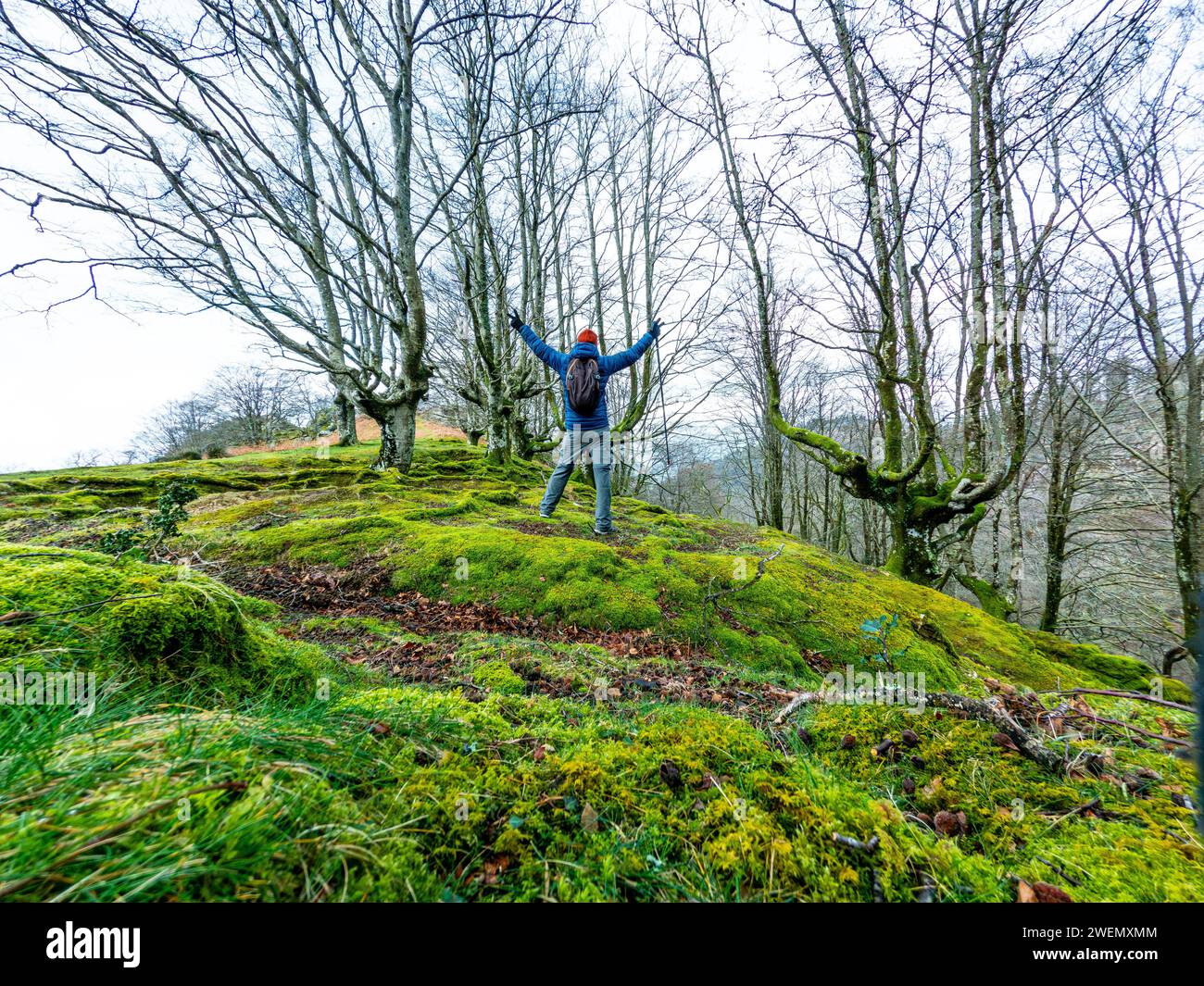 A very happy man in a beech forest in the mountains. Liberty sensation ...