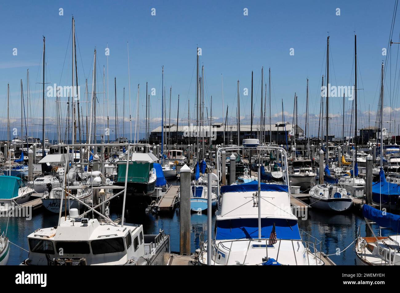 Harbour, Marina, Monterey, Pacific Ocean, California, USA Stock Photo ...