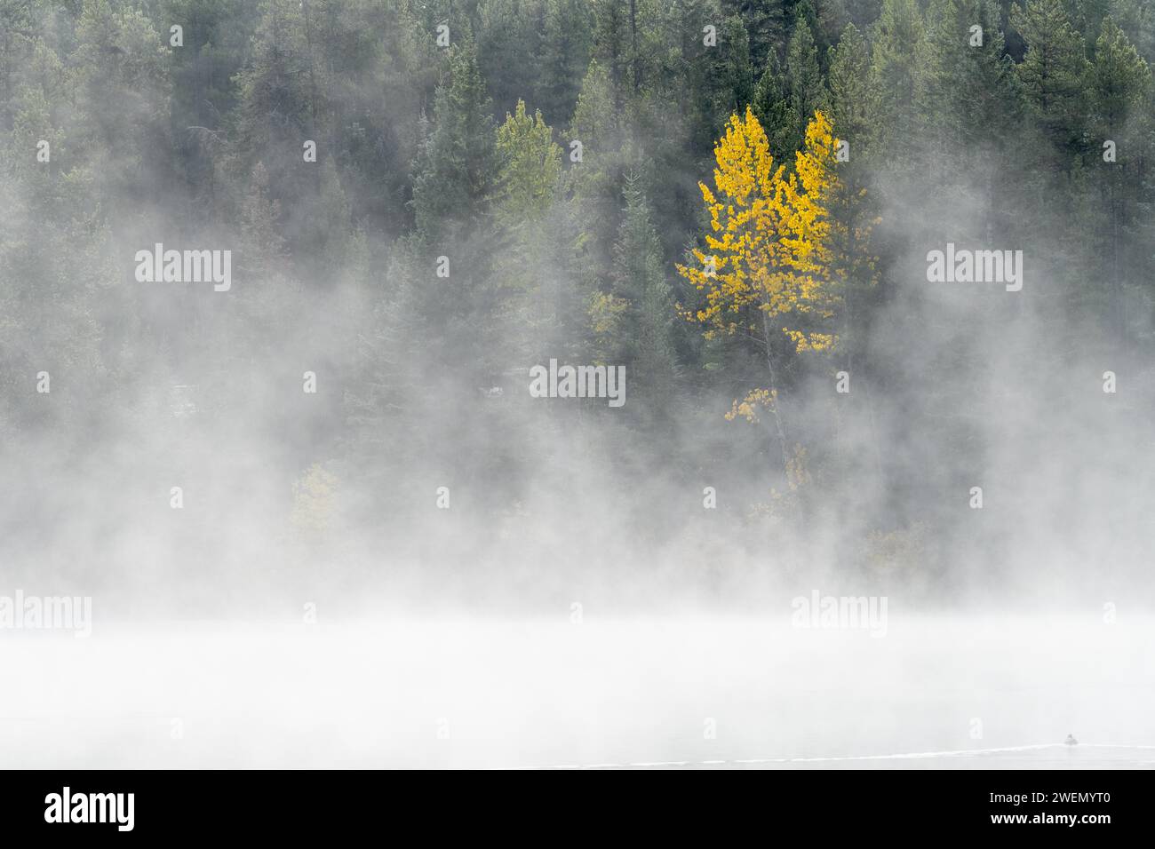 Bow lake Bow lake Canadian Rocky Mountains, Alberta Canada Stock Photo ...
