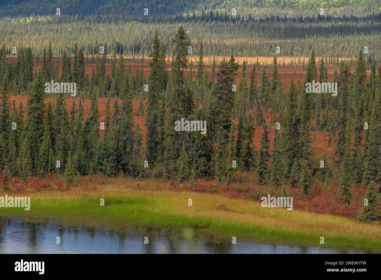 Alaska autumn landscape hi-res stock photography and images - Alamy