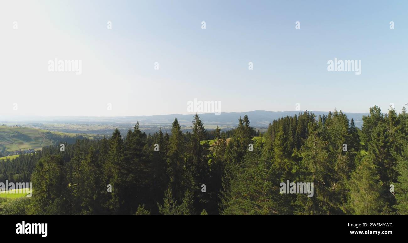 Flying over the beautiful forest trees. Landscape panorama Stock Photo ...