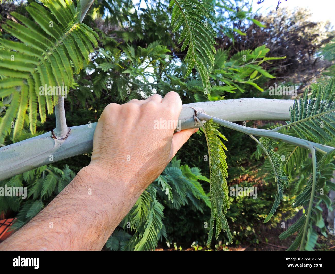 Contact of human beings with nature Stock Photo - Alamy