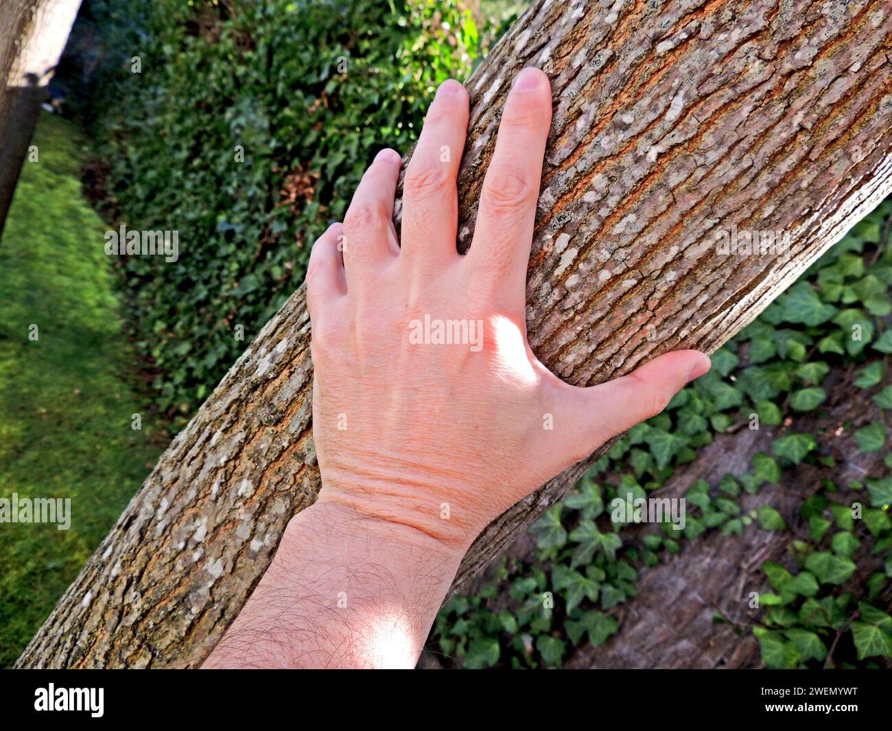 Contact of human beings with nature Stock Photo - Alamy