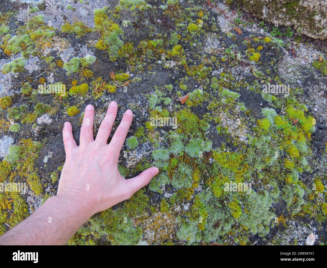 Contact of human beings with nature Stock Photo - Alamy