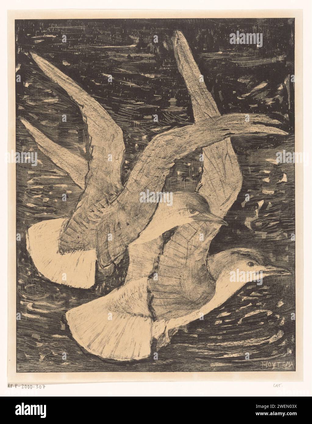 Two Flying Meeuwen, Theo Van Hoytema, 1873 - 1917 print paper shore ...