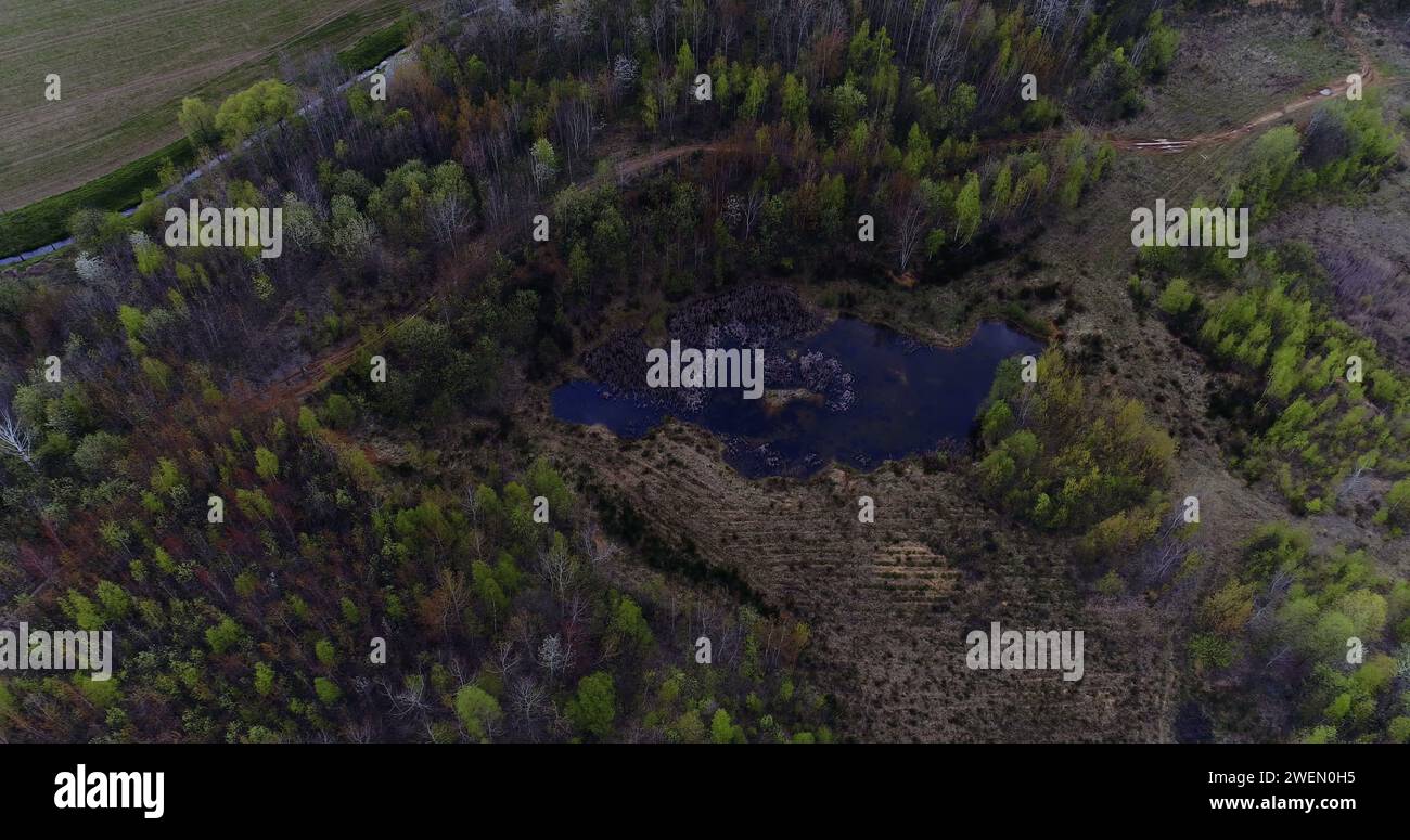 Aerial view of forest Stock Photo - Alamy