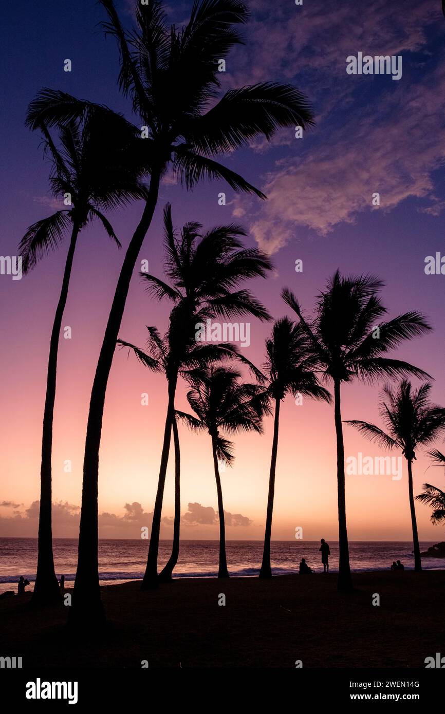 Picturesque tropical sunset palm trees hi-res stock photography and ...