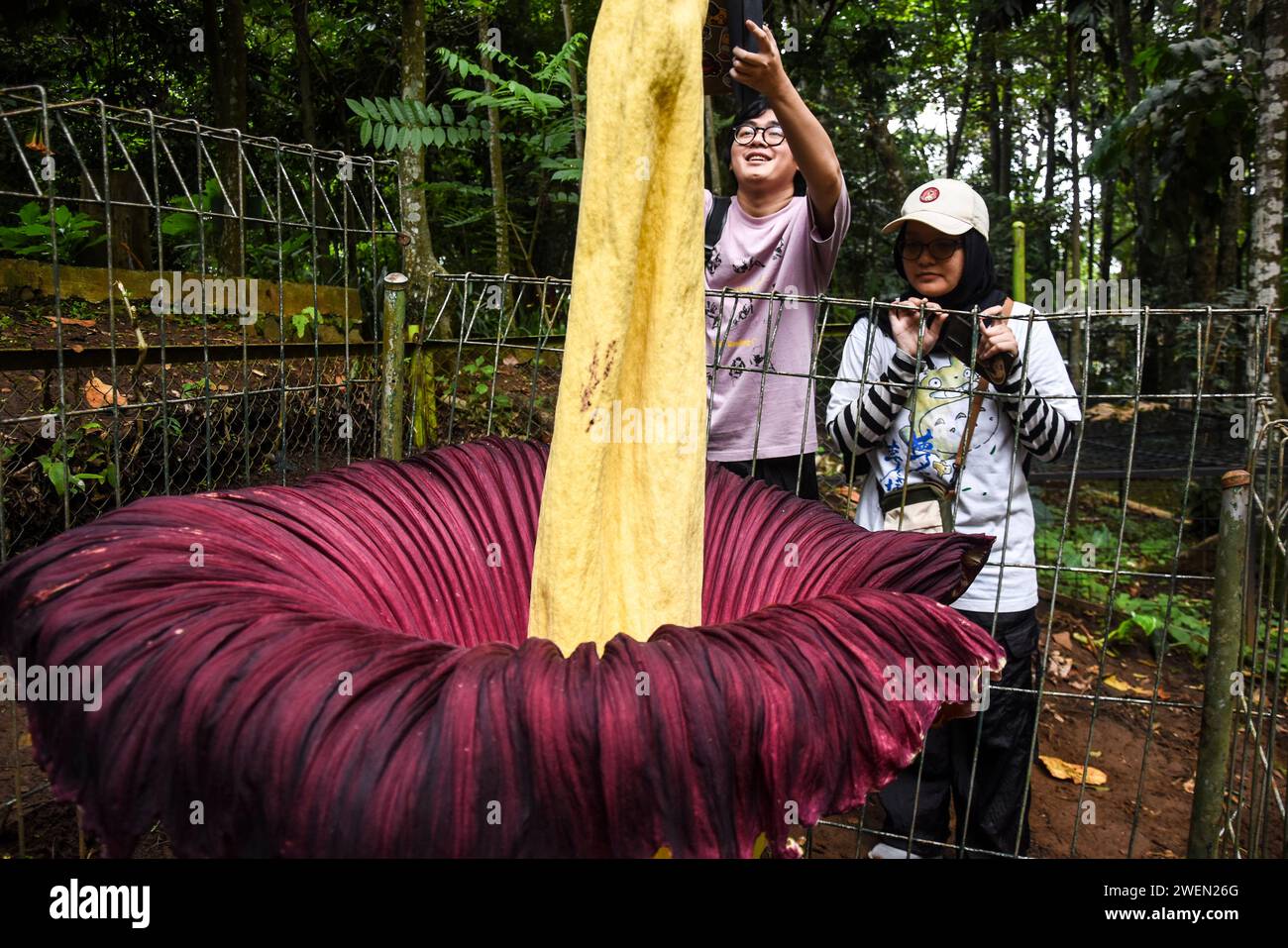 Bandung, West Java, Indonesia. 26th Jan, 2024. Visitors take a photo of ...