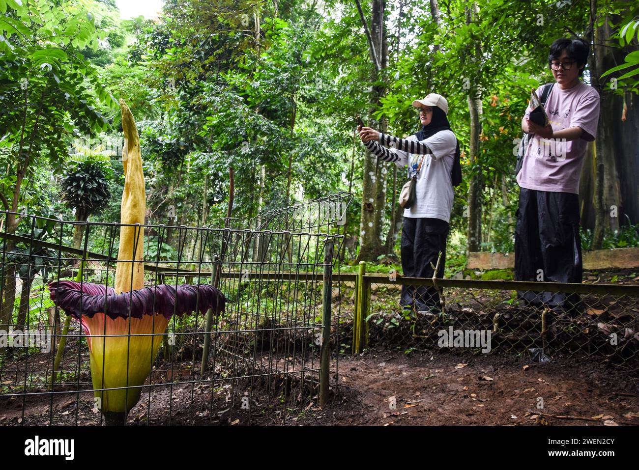 Bandung, West Java, Indonesia. 26th Jan, 2024. Visitors take photos in ...