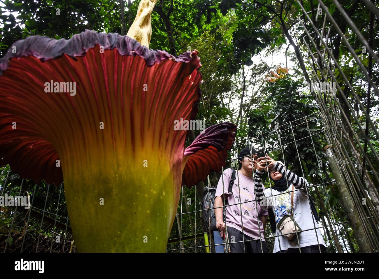 Bandung, West Java, Indonesia. 26th Jan, 2024. Visitors take photos in ...