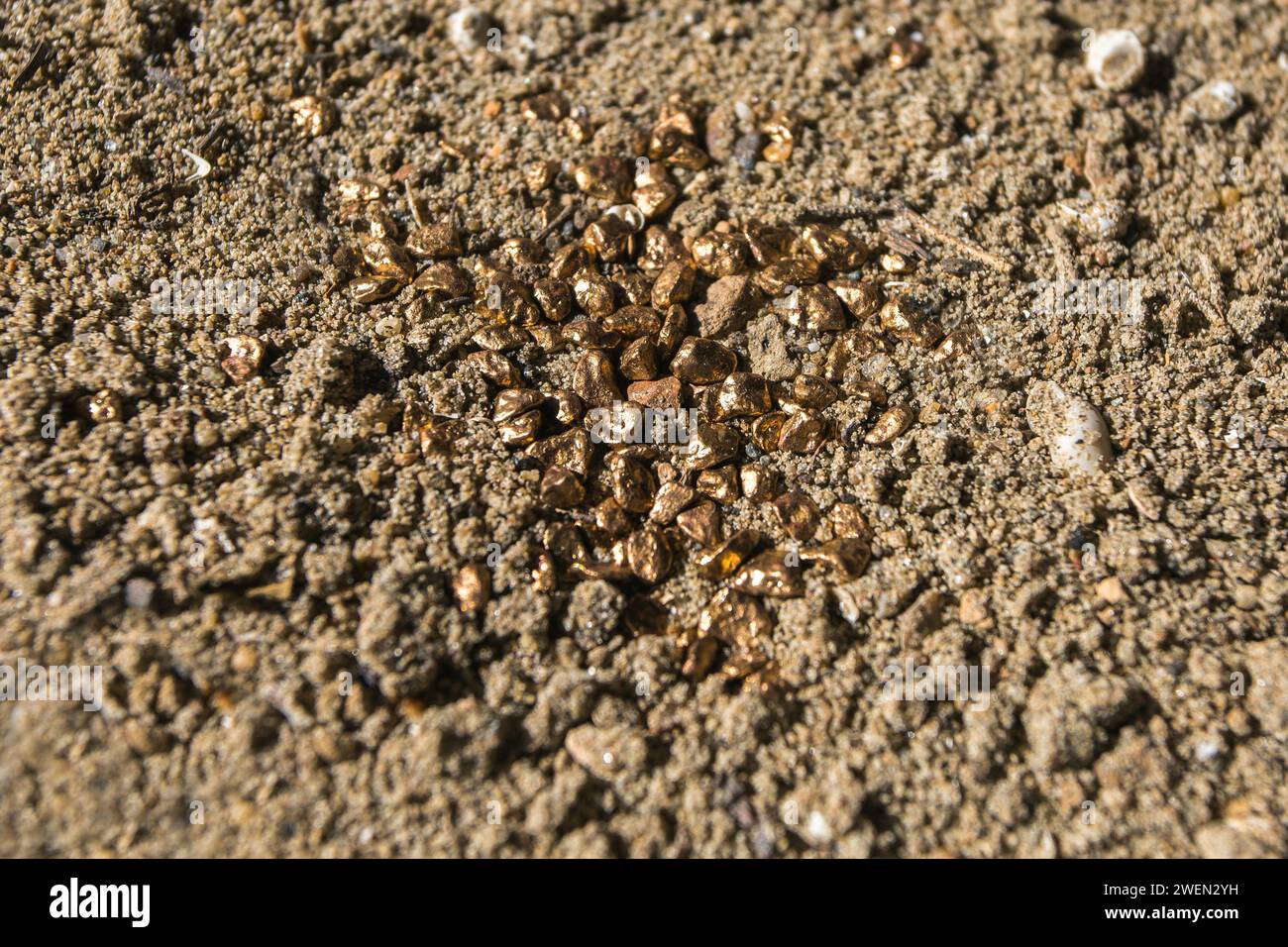 Gold pieces hi-res stock photography and images - Alamy