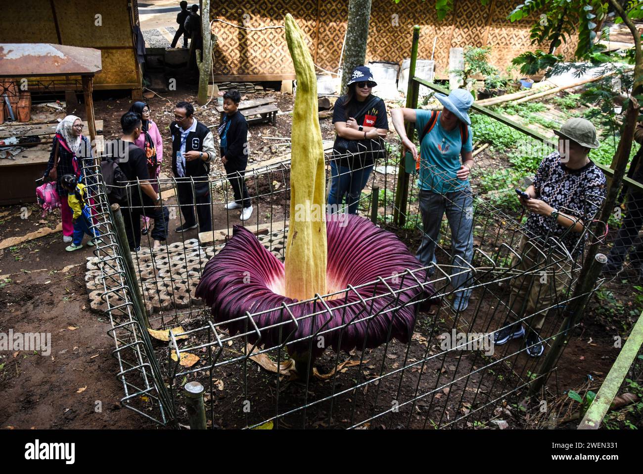Bandung, West Java, Indonesia. 26th Jan, 2024. Visitors sees a giant ...