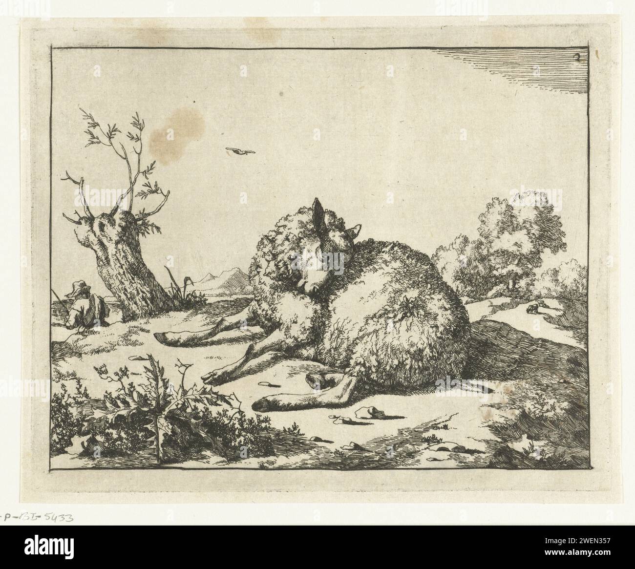 Lying sheep, at Knotwilg, Marcus de Bye, 1660 print paper etching sheep ...