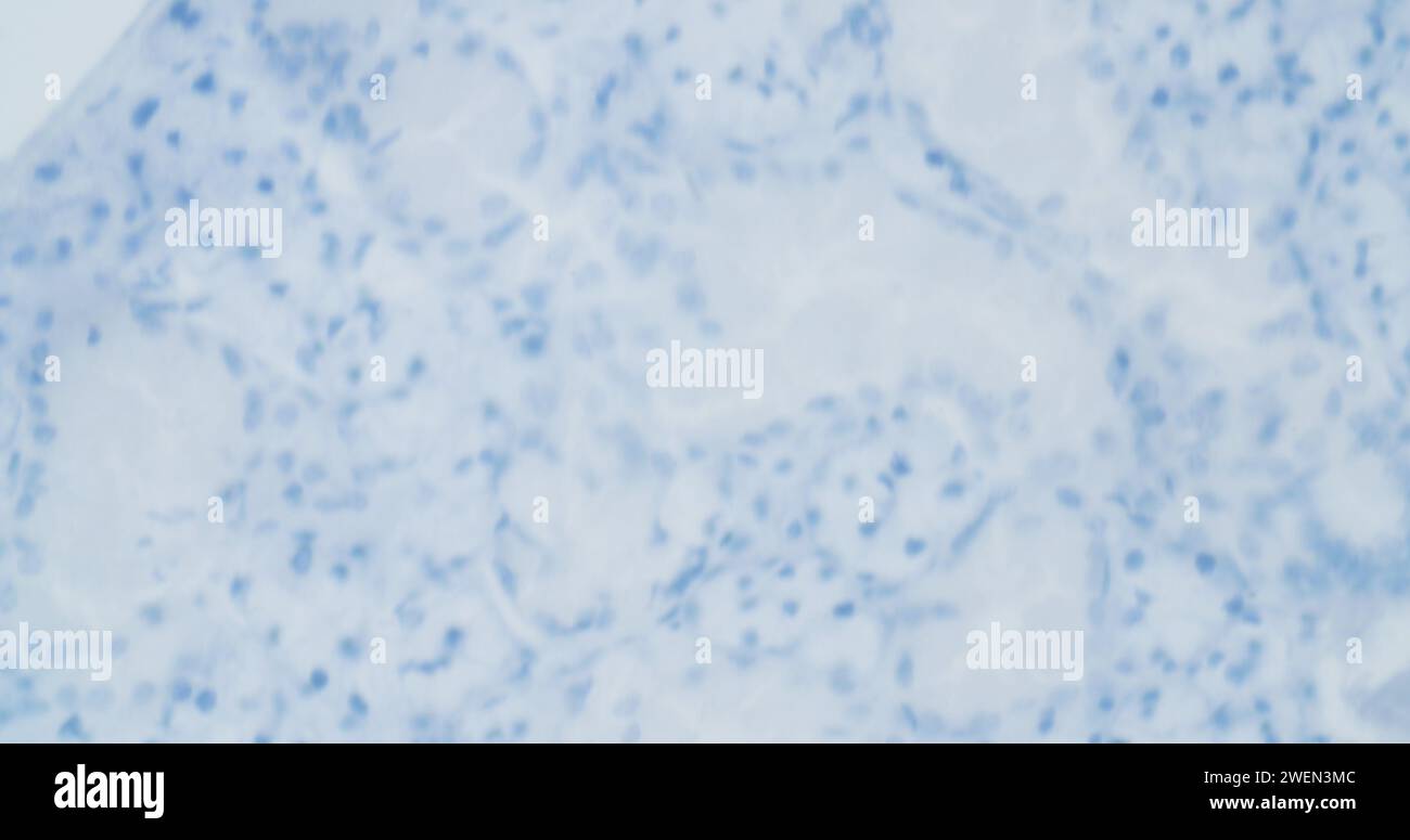 virus structure under a microscope Stock Photo - Alamy