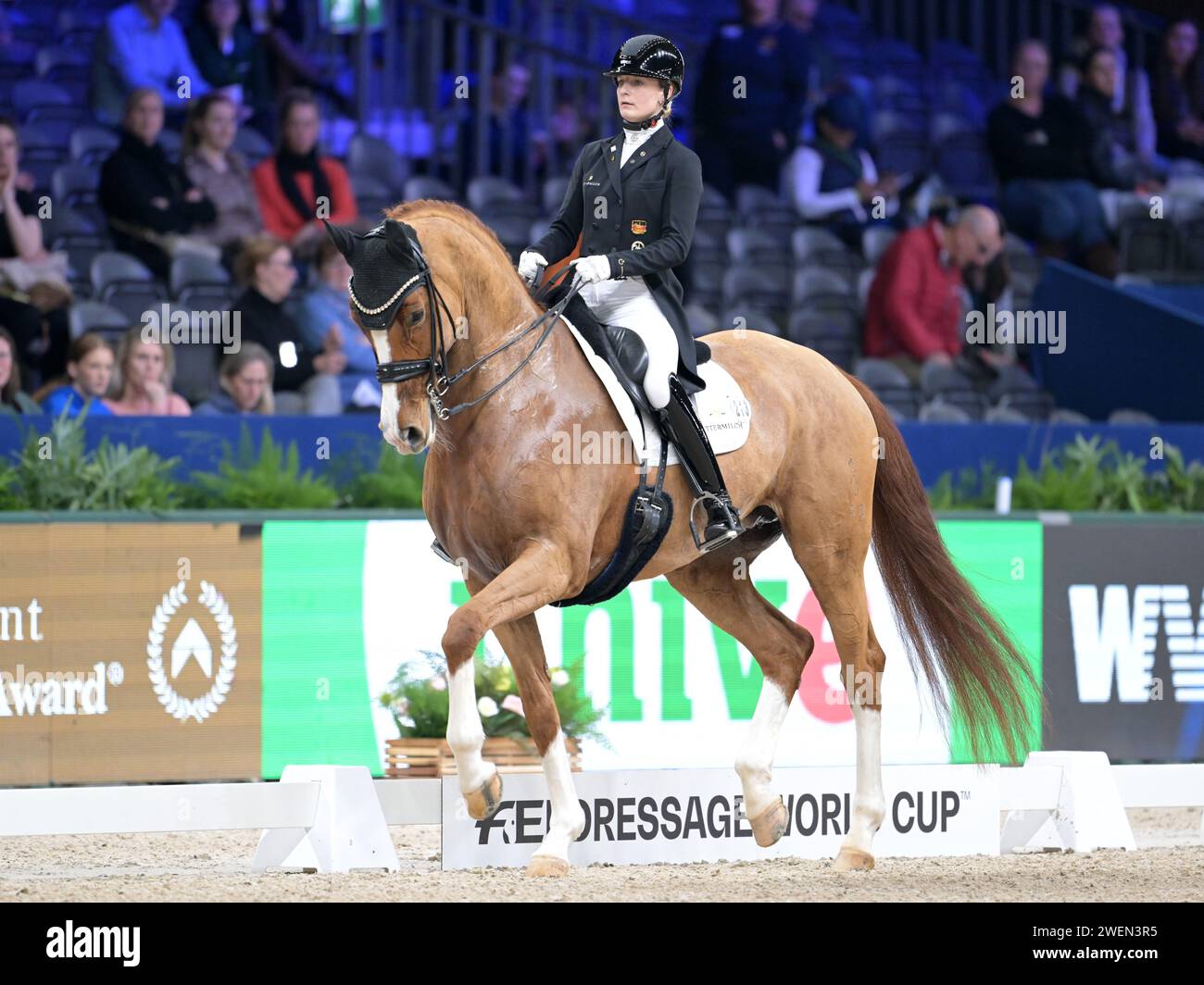 AMSTERDAM - Bianca Nowag Aulenbrock with Florine OLD during the FEI ...