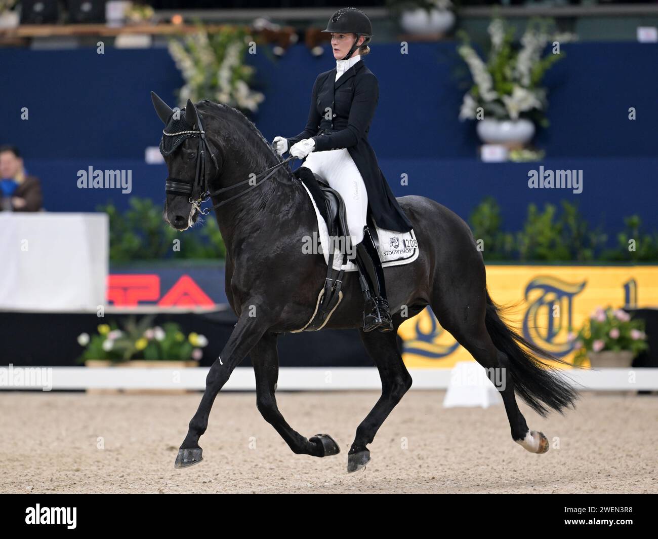 AMSTERDAM - Denise Nekeman with Boston Sth during the FEI World Cup ...
