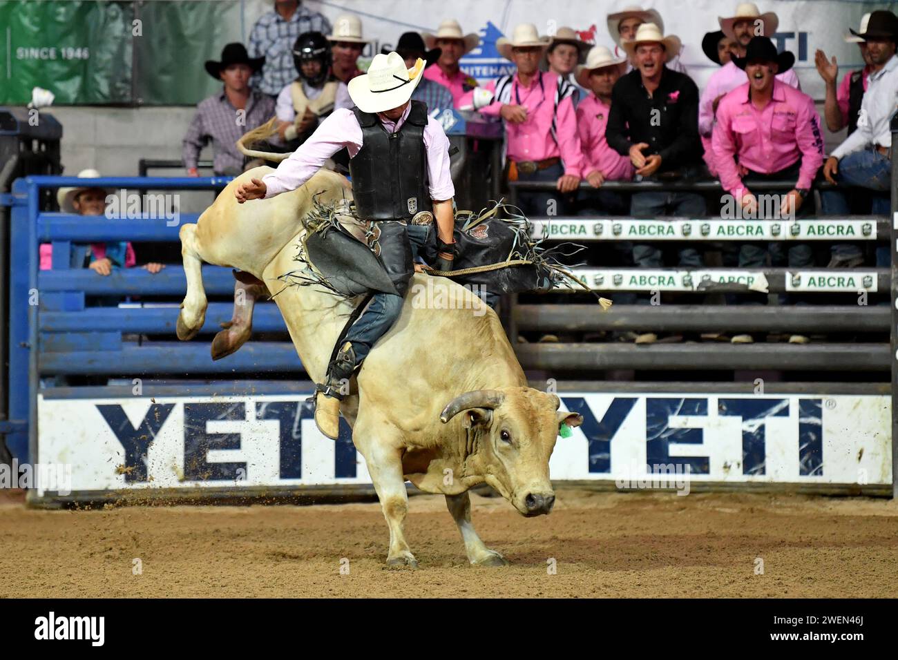 Tamworth, Australia. 26th Jan, 2024. A rider competes in the bull ride ...