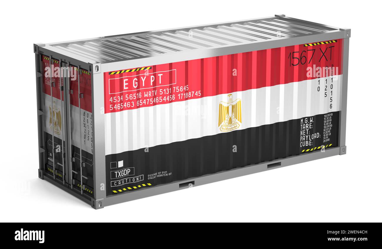 Freight shipping container with national flag of Egypt on white ...