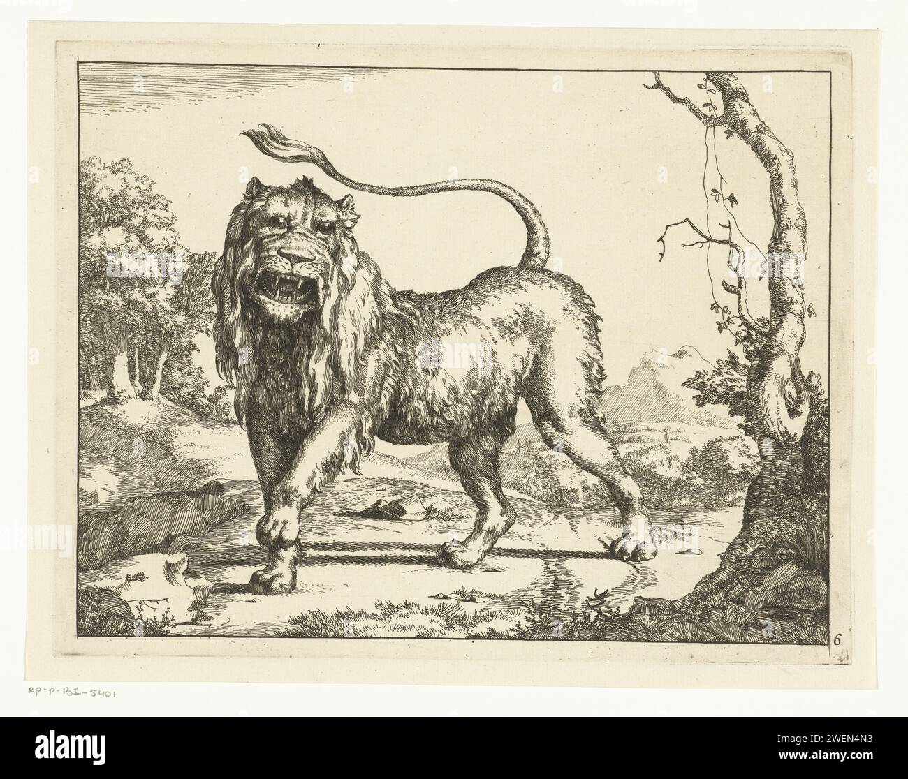Roaring lion, the tail in the air, Marcus de Bye, After Paulus Potter ...