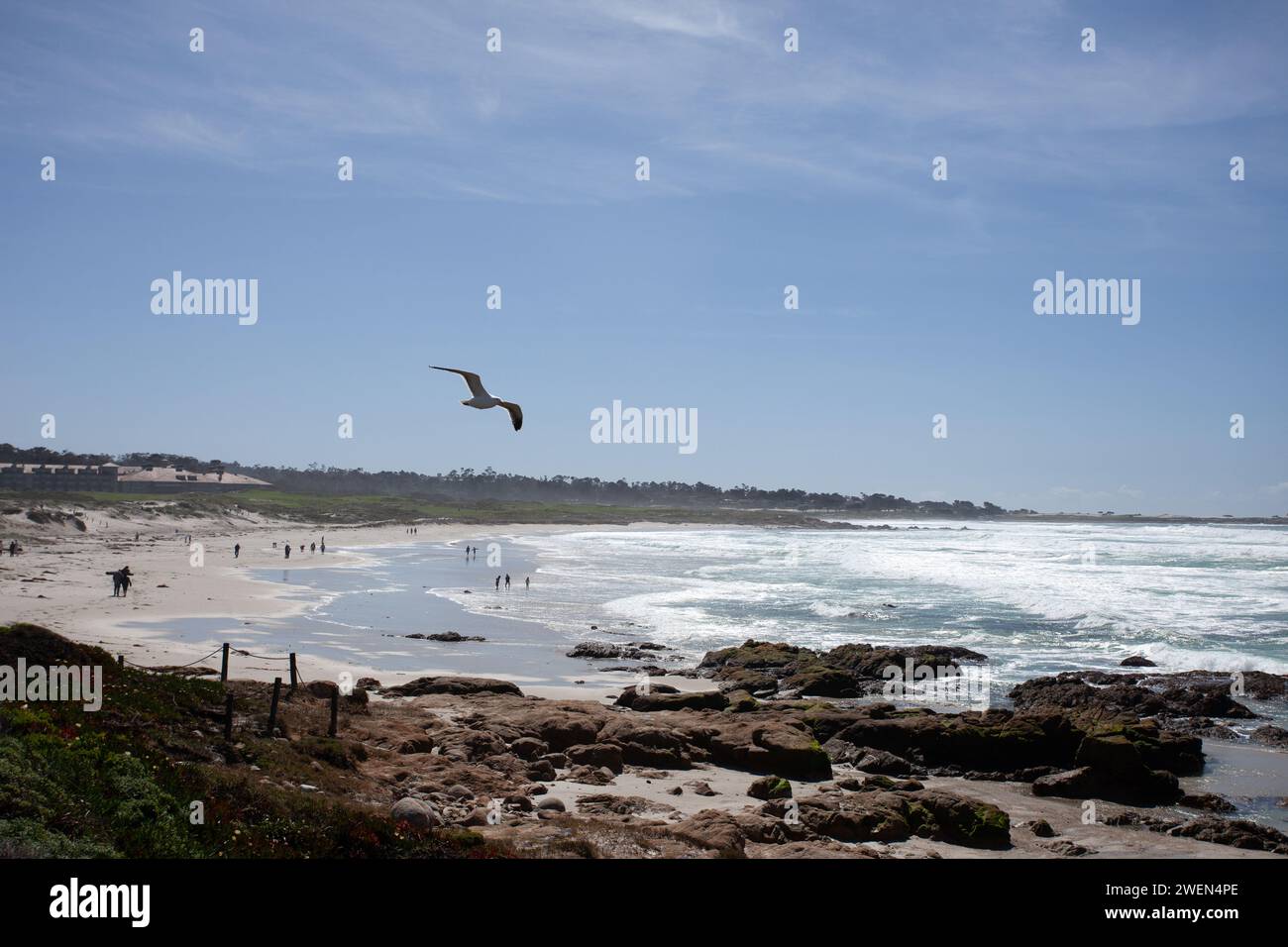 Beach landscape along the Pacific Coast Highway PCH with crashing waves ...