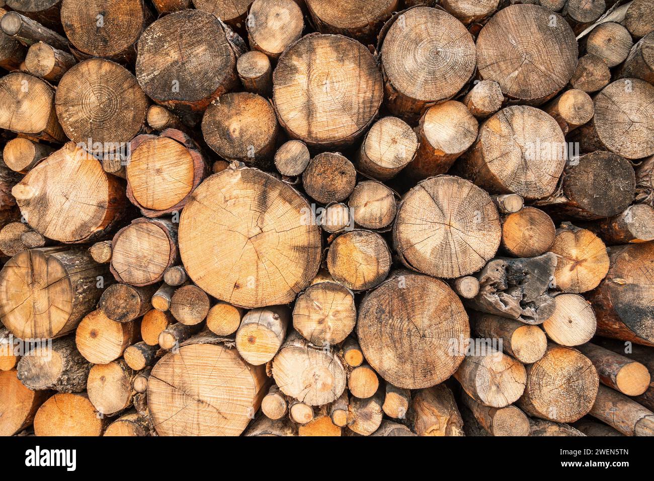 Wall made with a pile of chopped logs of different sizes. log pile ...