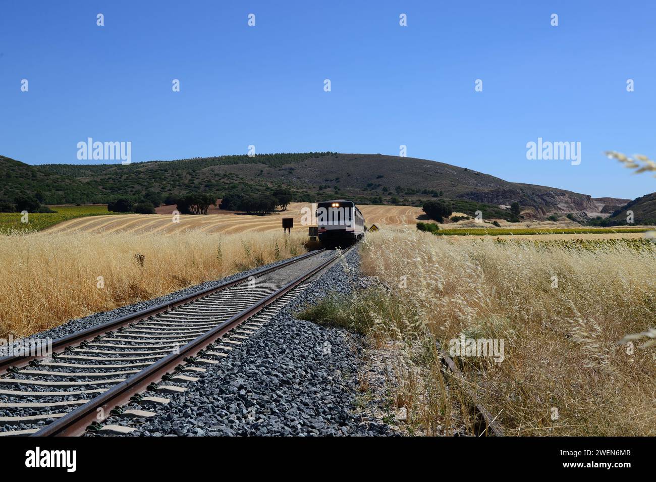 A train approaches the railroad track through the countryside Stock ...