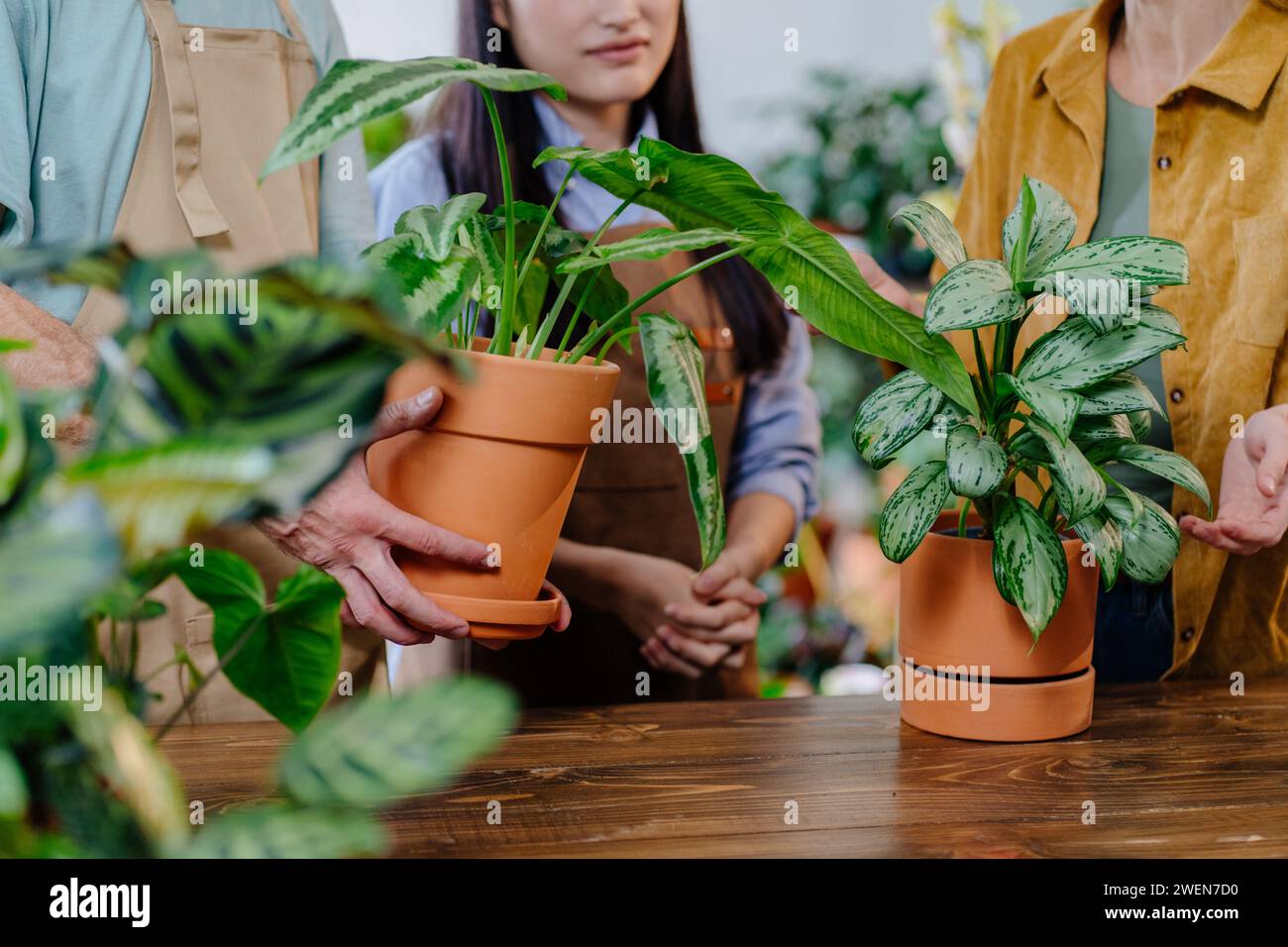 Multiethnic woman florist holding plants hi-res stock photography and ...