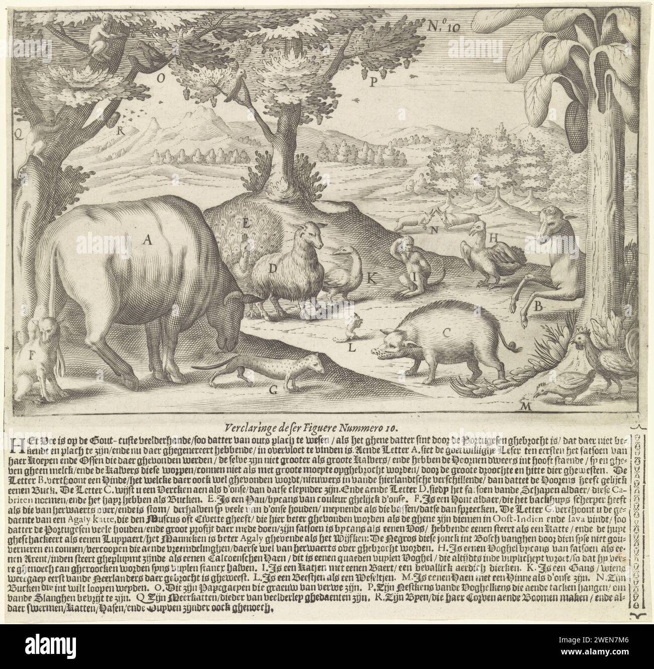Native and exotic animals in Guinea, Johann Theodor de Bry, after ...