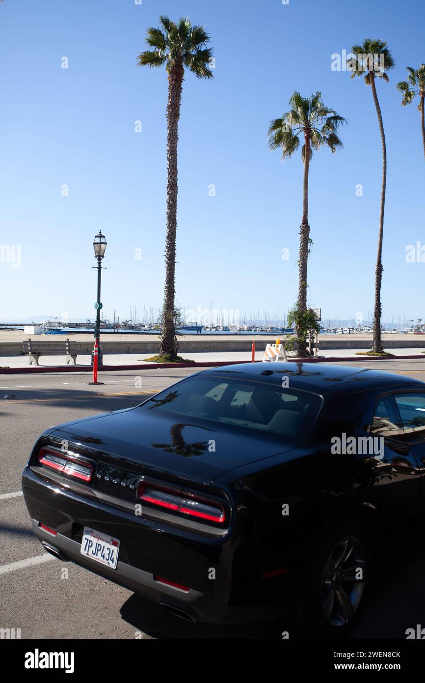 2019 Black Dodge Challenger muscle car parked on a road with the rear ...