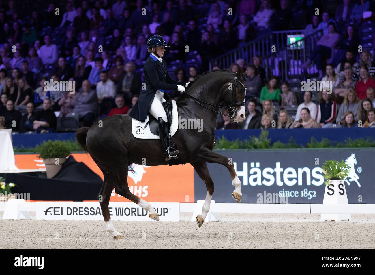 Amsterdam, Netherlands - January 26, 2024. Dressage riders show in the ...