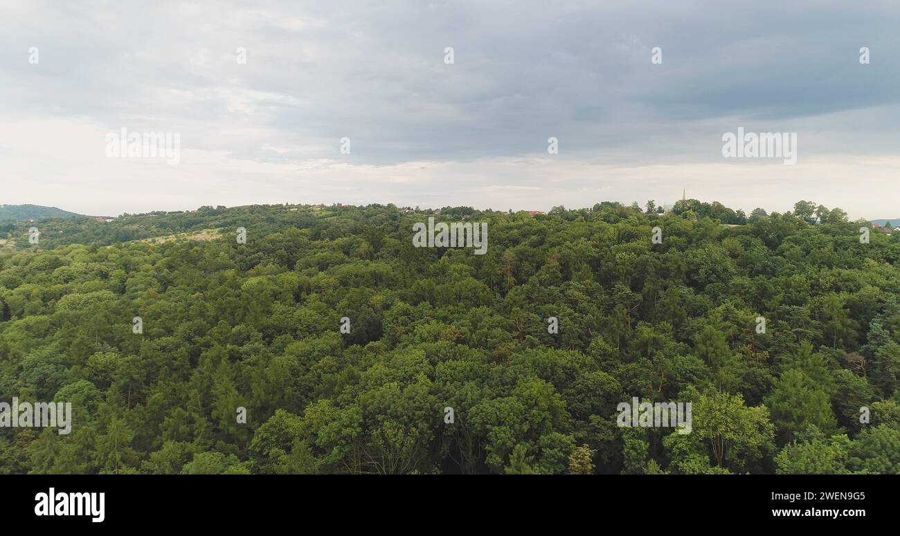 Flying over the beautiful forest trees. Landscape panorama Stock Photo ...