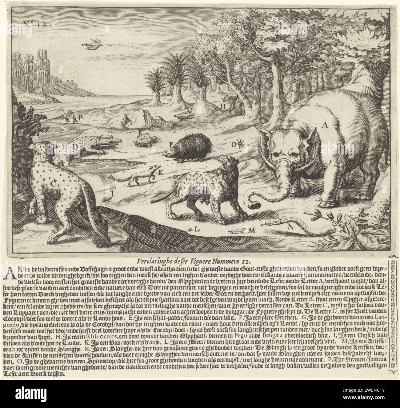 Gold paper cranes hi-res stock photography and images - Alamy