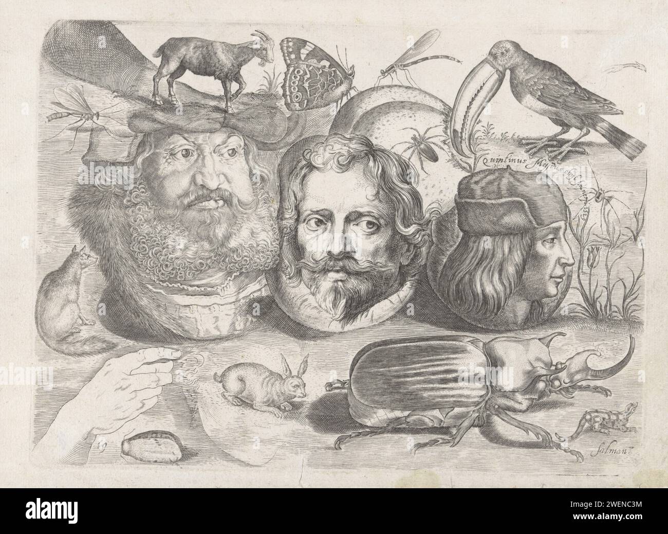 Study sheet with drawing examples: portraits, animals, insects, Michael ...