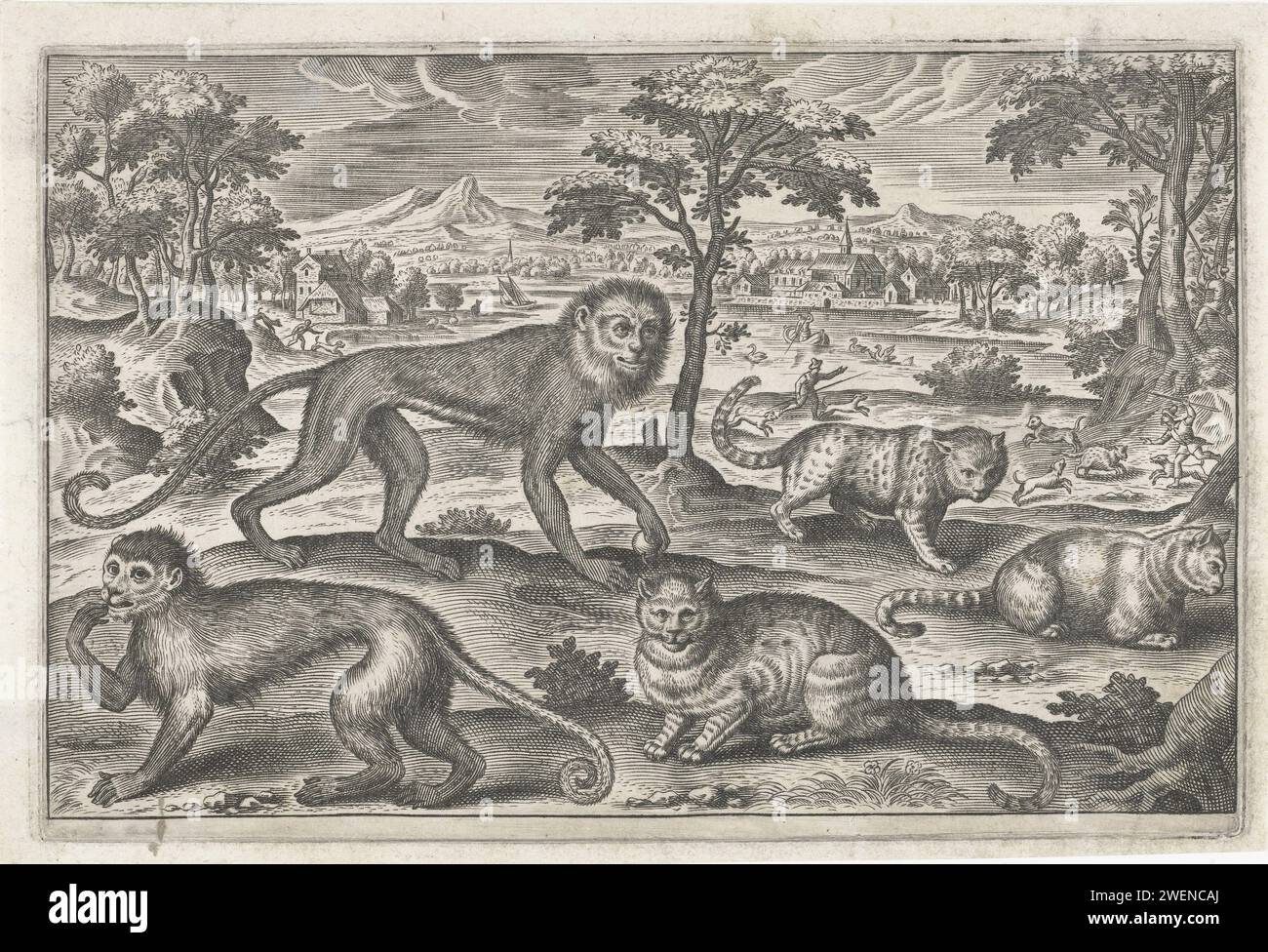 Monkeys and cats, Anonymous, After Adriaen Collaert, 1595 - 1652 print ...