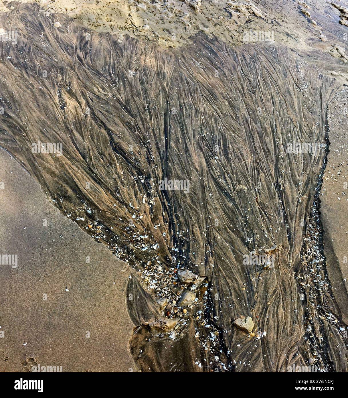 Water runs back to the lake through the sand on the shore, making an ...