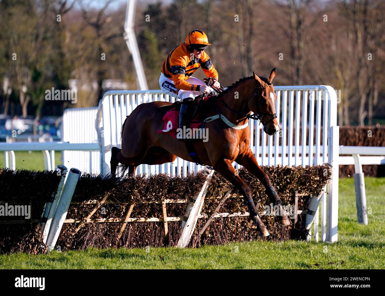 Kingoftheswingerz ridden by jockey Ben Poste in action as they compete ...