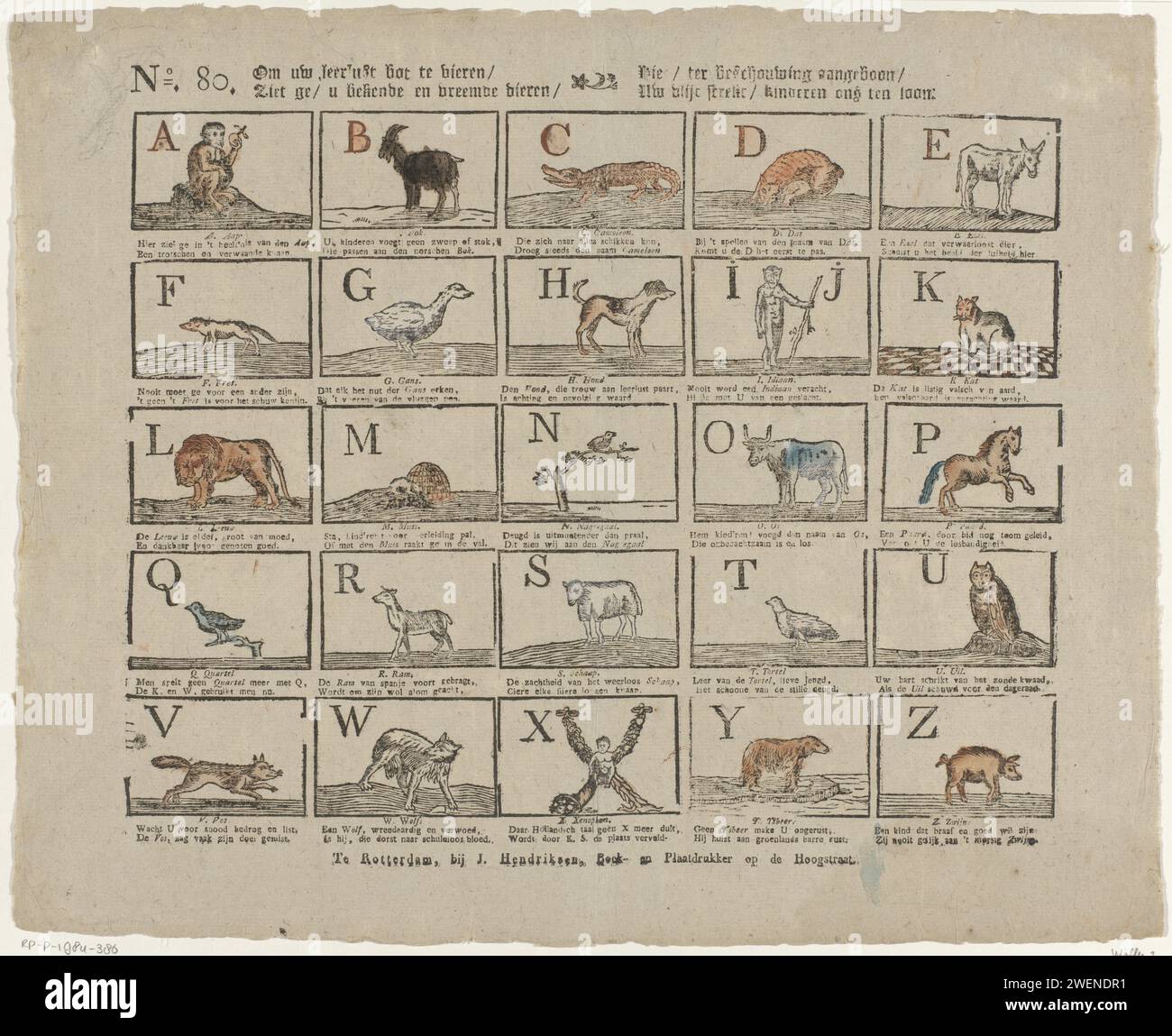 To celebrate your Learning Lust Bot / see known and foreign animals ...