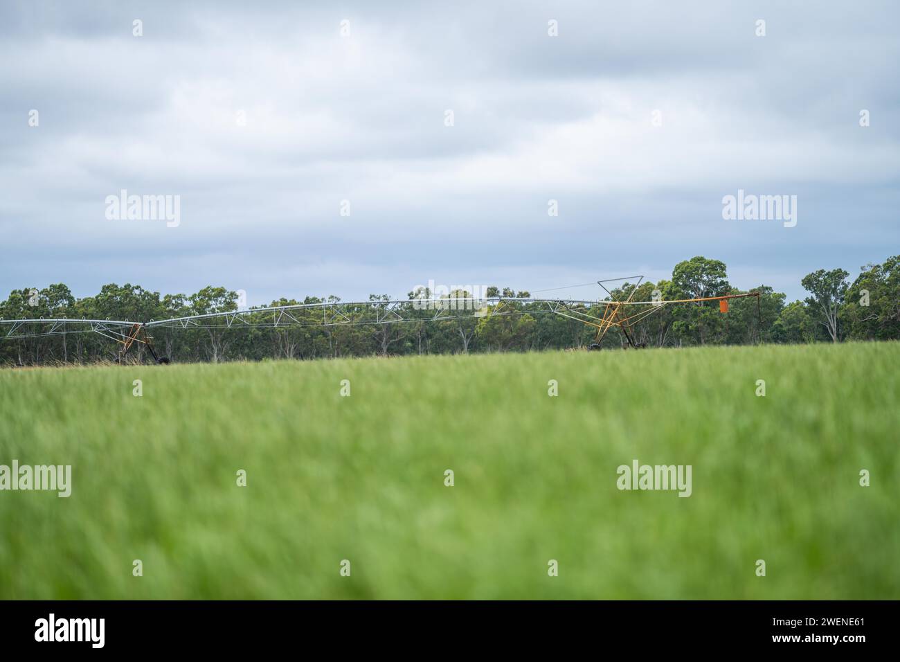 farming landscape, food production in an agricultural farm, practicing ...
