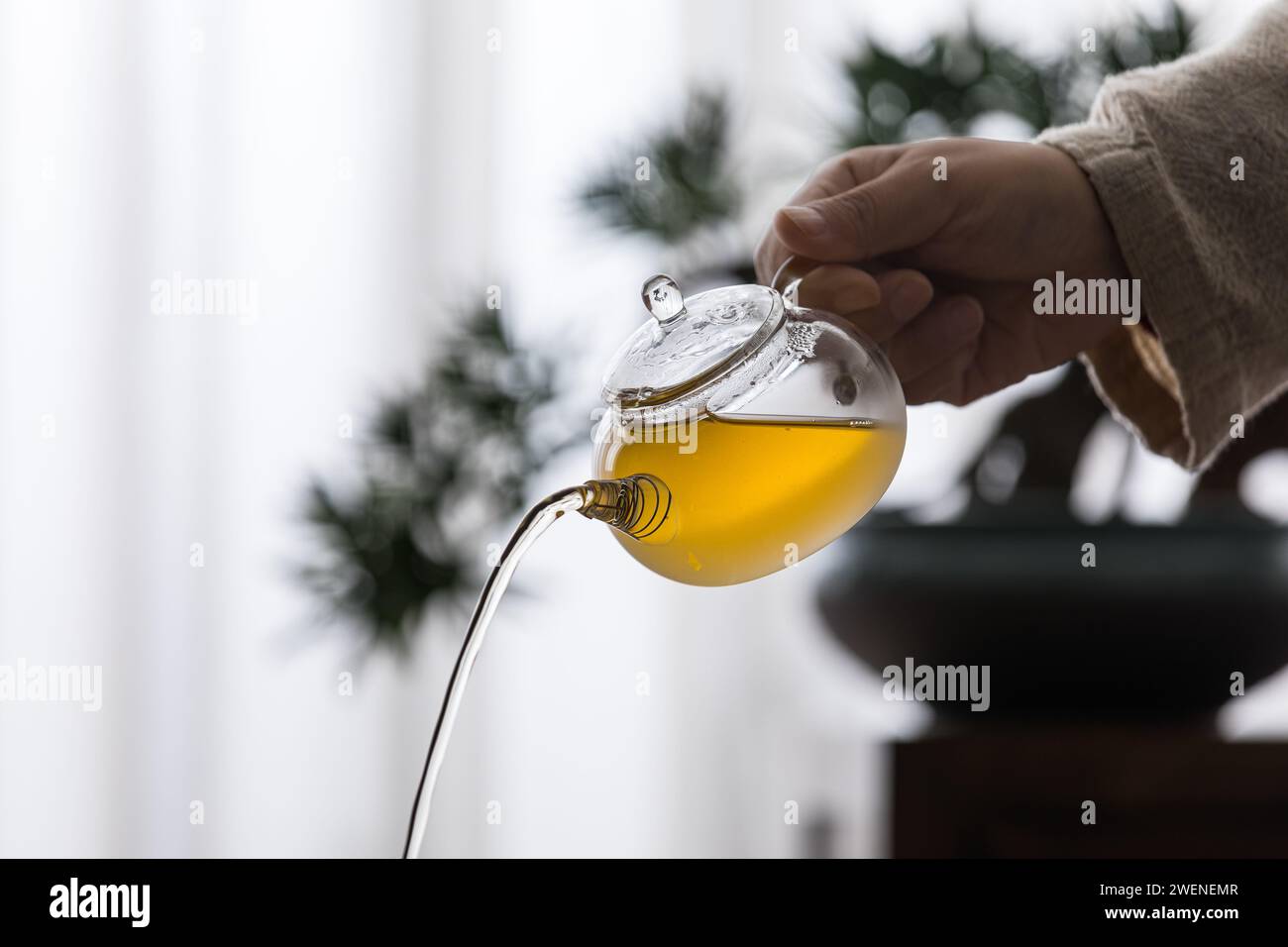 Tea brewing techniques hi-res stock photography and images - Alamy