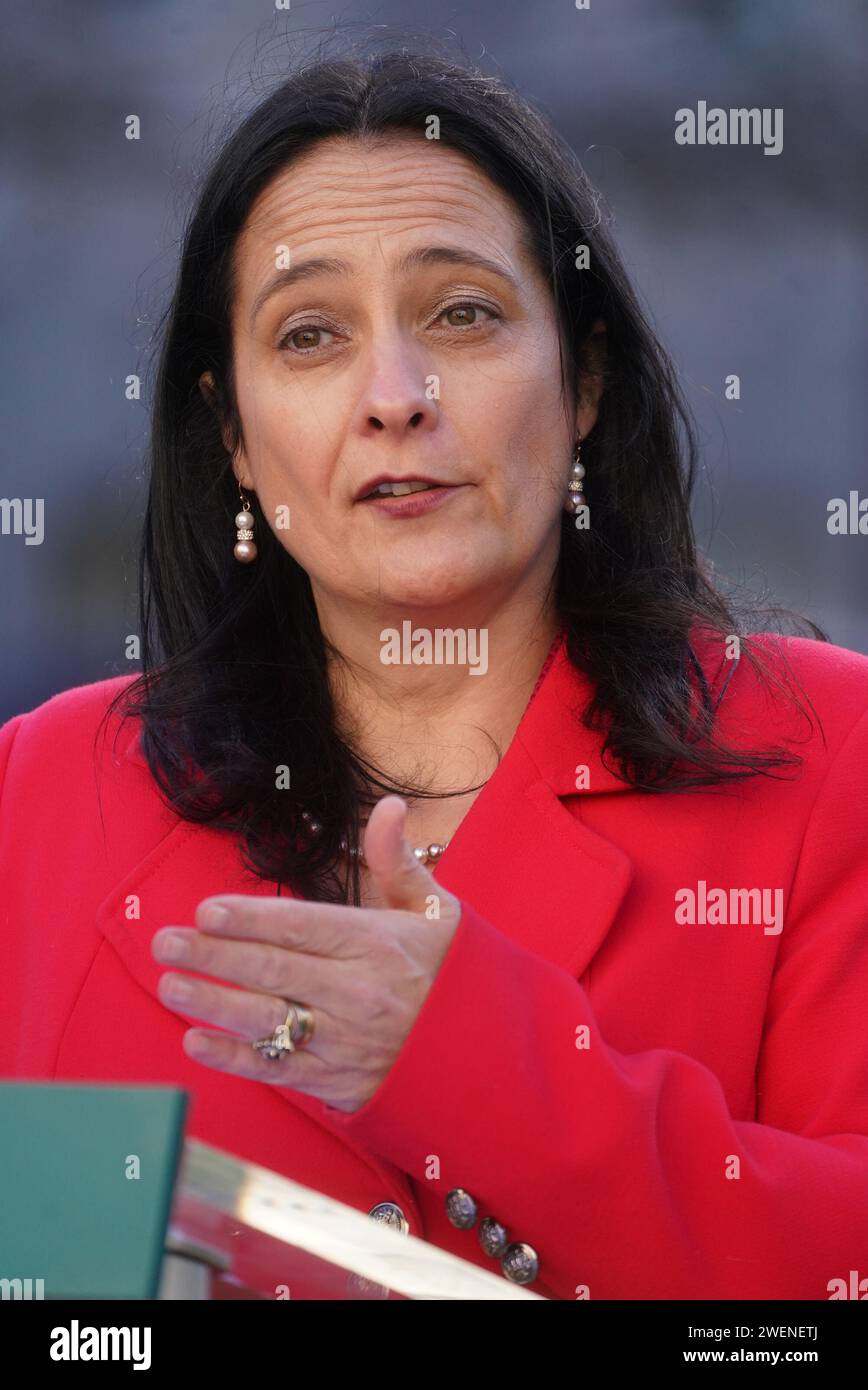 Culture minister Catherine Martin speaking to the media at Government ...