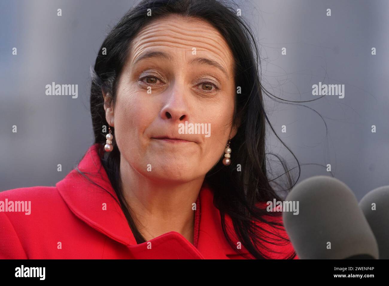 Culture minister Catherine Martin speaking to the media at Government ...