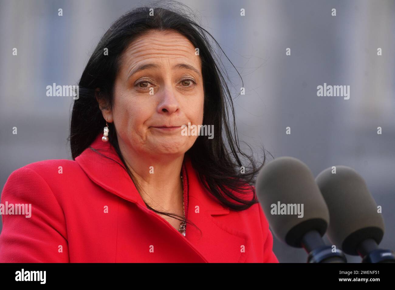 Culture minister Catherine Martin speaking to the media at Government ...