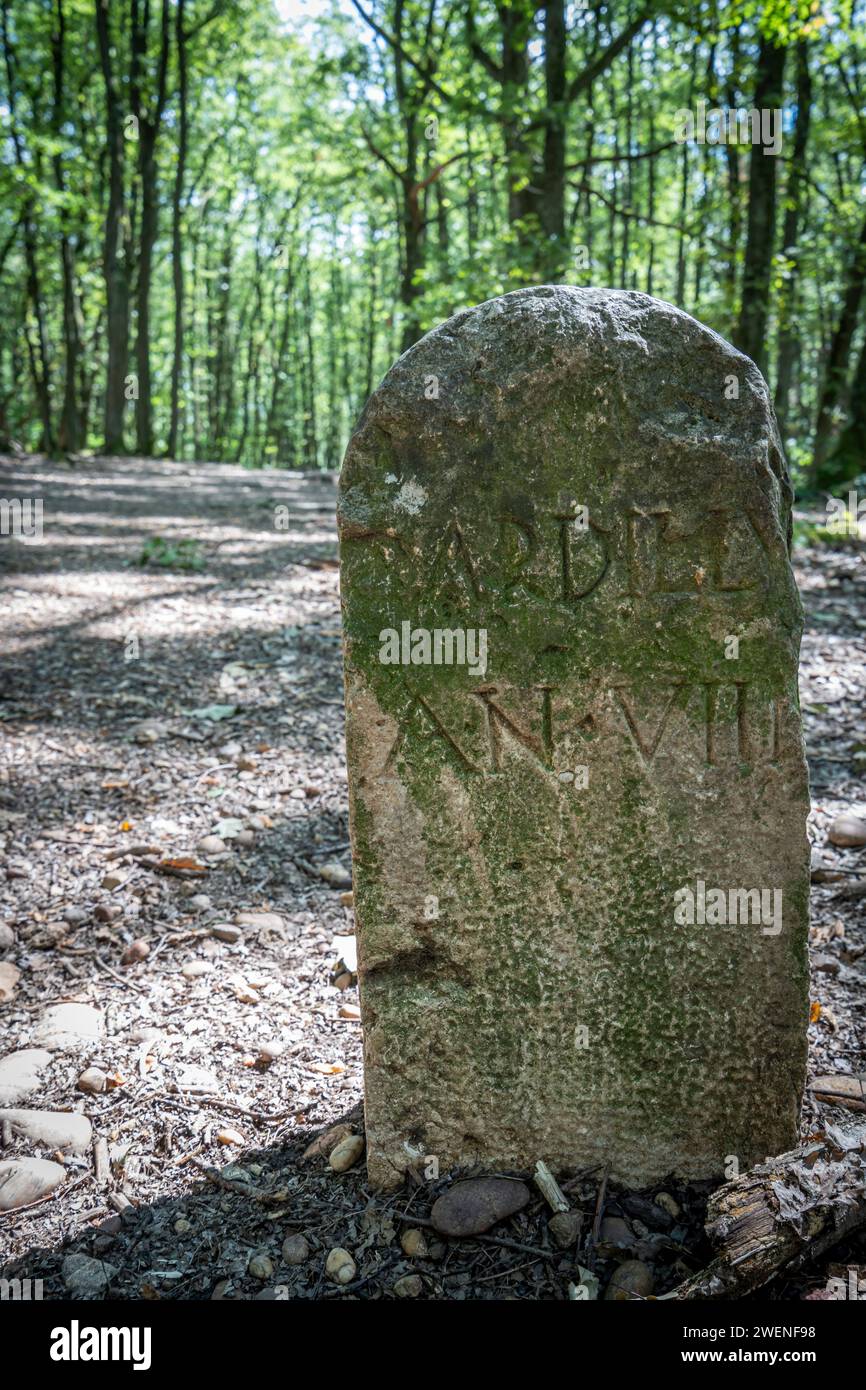 View of a medieval stone marker in the forest Stock Photo - Alamy