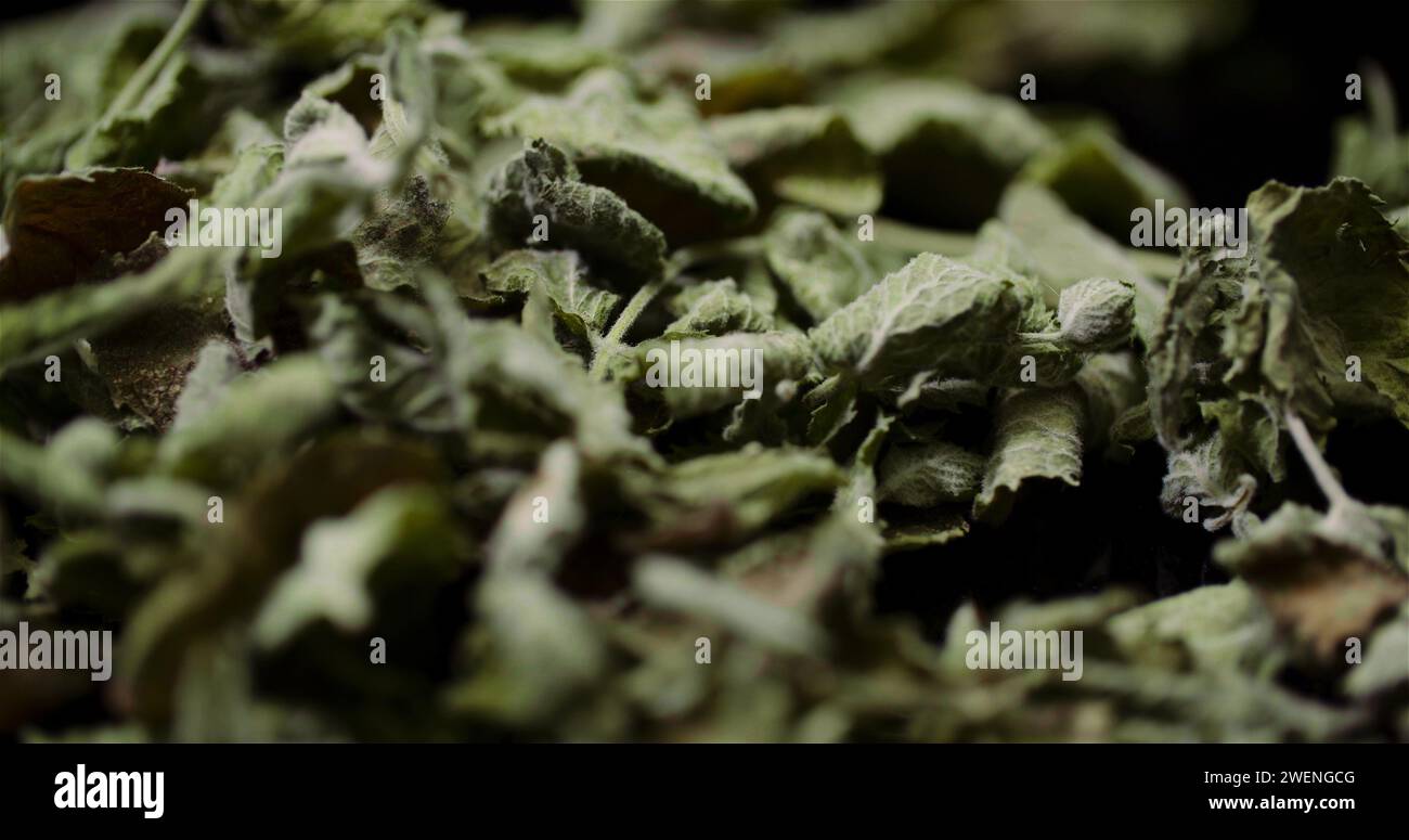 Rotating mint leaves isolated on hi-res stock photography and images ...