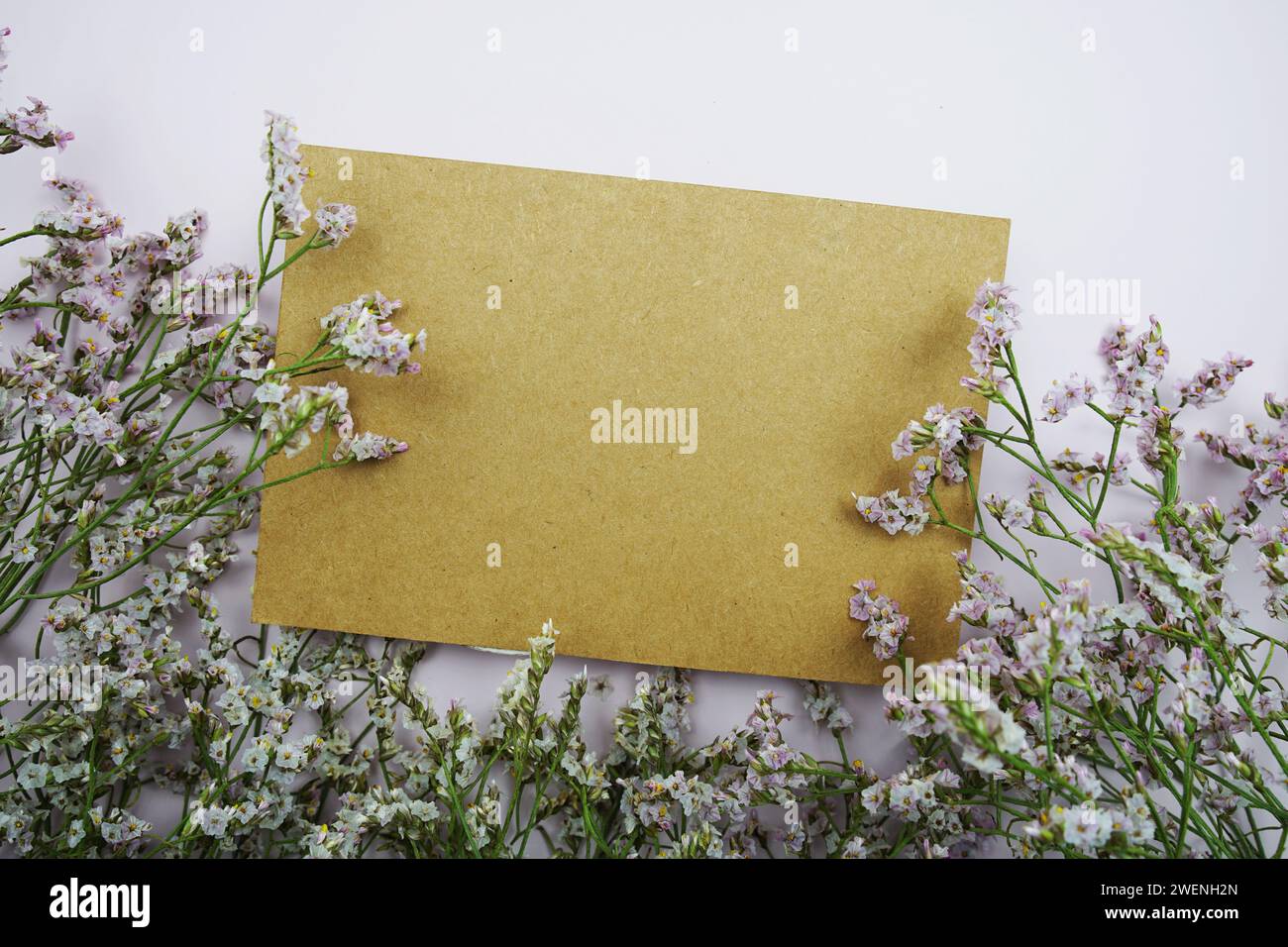 Empty card for text message and flower decoration on pink background ...