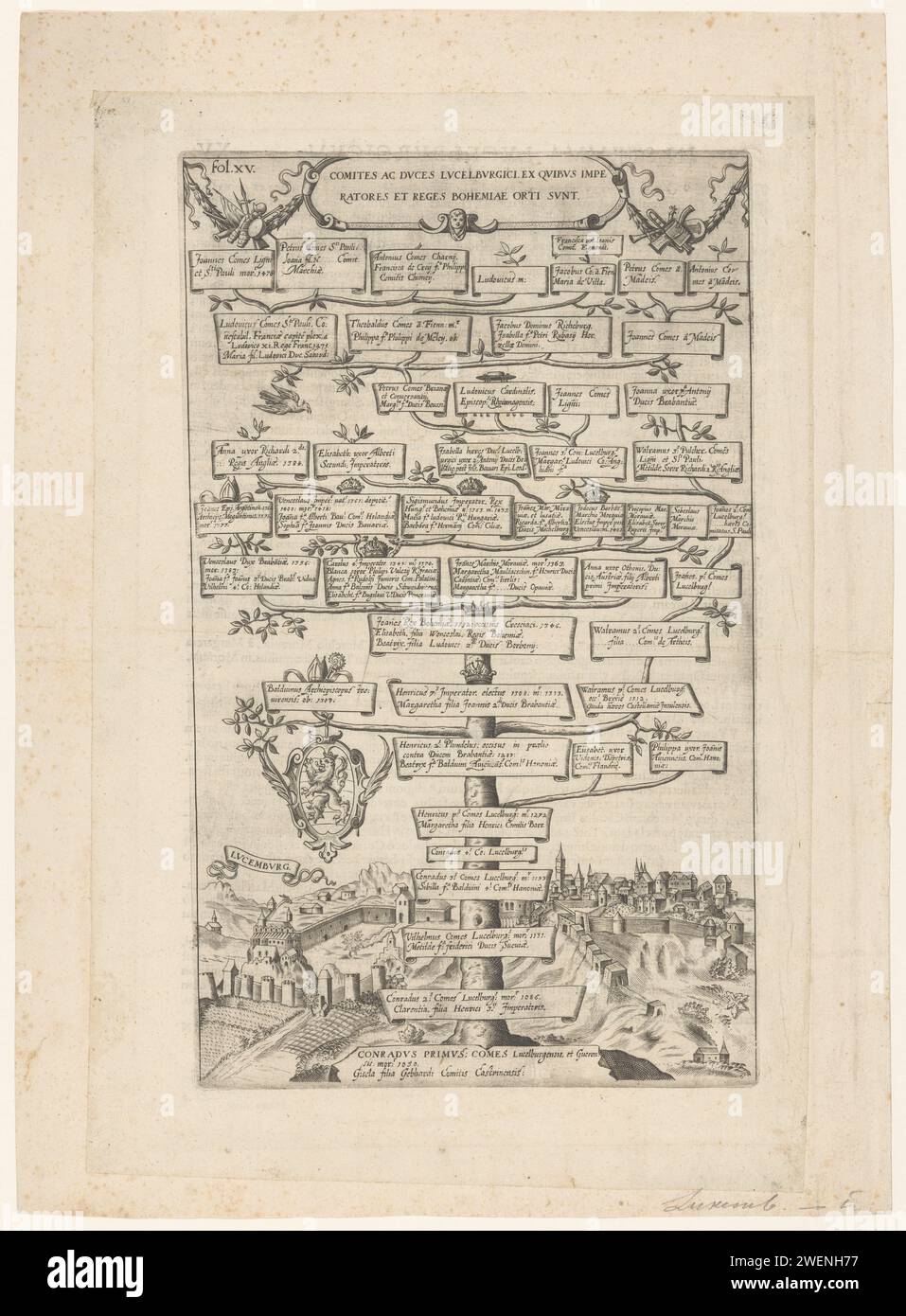 Family tree of the graves and dukes of Luxembourg, 1050-1476, Dominicus ...